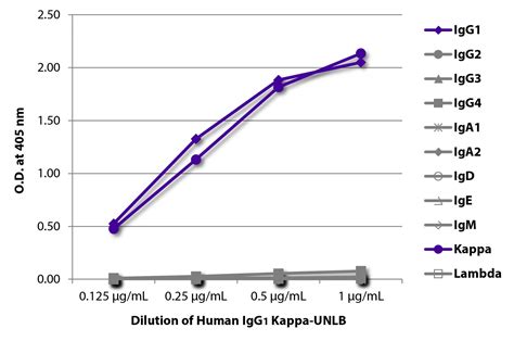 Human Igg1 Kappa 純化之免疫球蛋白產品 Isotype Control貨號0151k 01