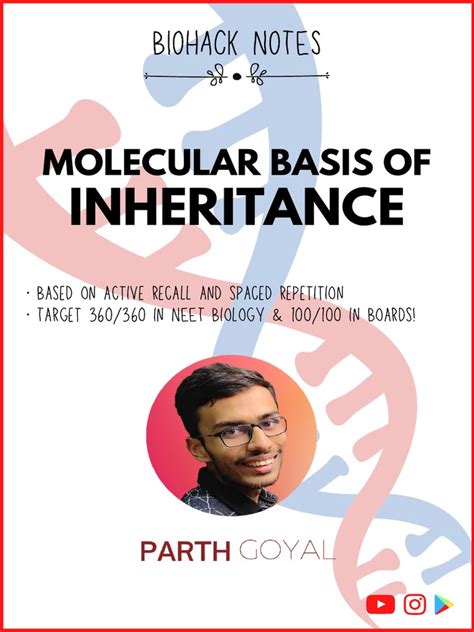 Understanding The Molecular Basis Of Inheritance A Comprehensive Guide To Dna Genetic Code