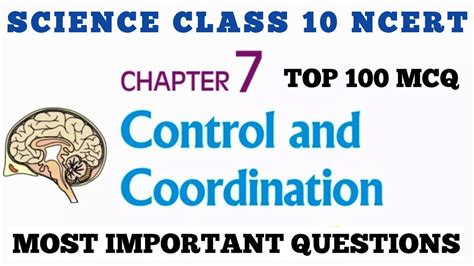 best mcq class 10 control and coordination full chapter science class 10 mcq class10mcq cbse