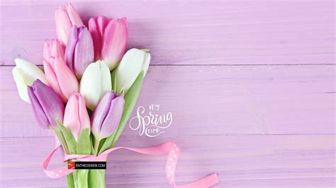 Spring Season Wallpaper Desktop Hd