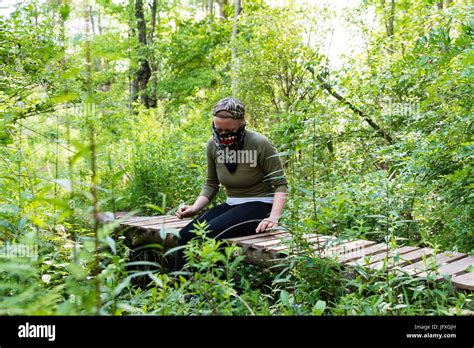 A Tree Sitter Takes A Moment In The Lush Forest Each Person Is Aware That The Fight Is Much