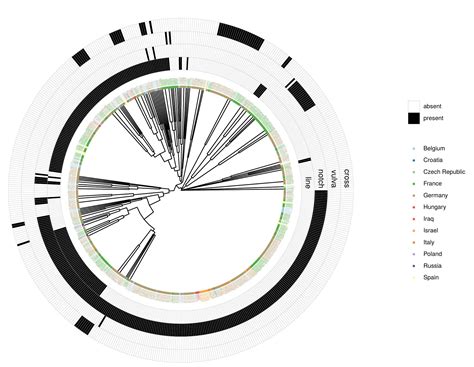 Upgma Tree For 516 Aurignacian Objects And Sign Types This