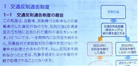 反則金を払わなければ「ほぼ100％不起訴」！ その裏付けデータを公開する