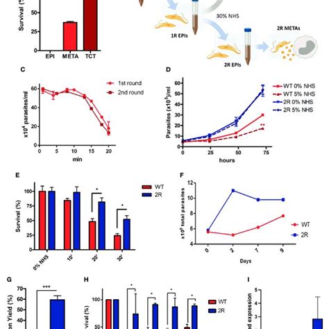 A Resistance To Complement Mediated Lysis Of Different Stages Of Download Scientific Diagram