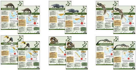 Bridging The Gap New Educational Resources On Biodiversity In Laos