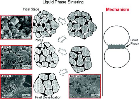 Microstructure Of Ceramic Materials Springerlink