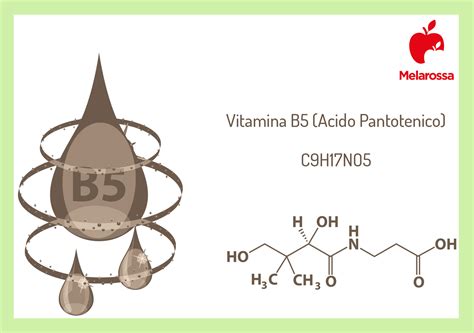 Vitamina B5 Che Cosè Proprietà Benefici E Alimenti Ricchi