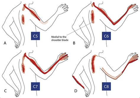 Хү Ханбатгүн Эмнэлэг зүү төөнүүр сэргээн засах эмчилгээ