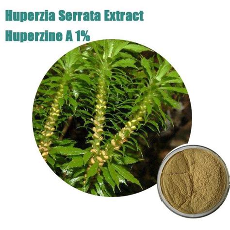 Huperzine-A - 01 - Forward Farma Inc (United States of America Trading ...