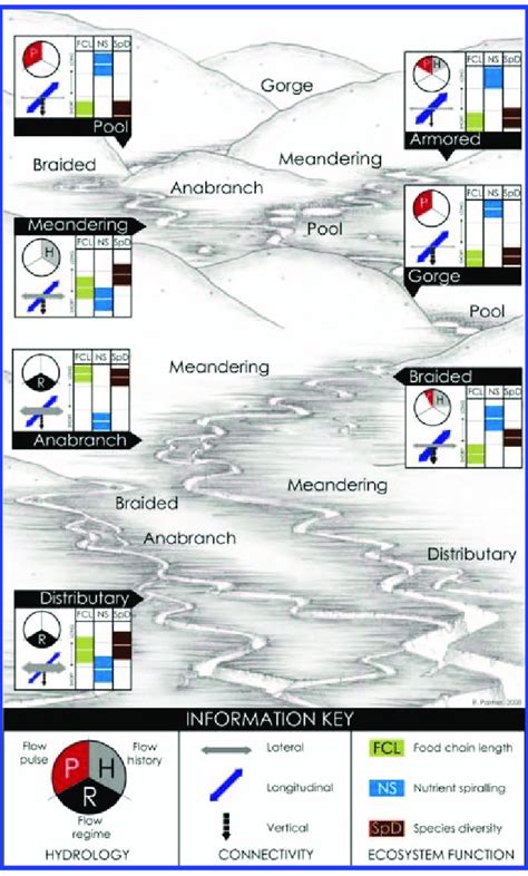 A Conceptual Riverine Landscape Is Shown Depicting Various Functional Download Scientific