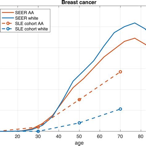 Breast Cancer Incidence Rates In Racial Strata In The Seer Registry And Download Scientific