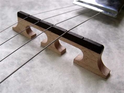 Beginners String Banjo Course Waltons New Babe Of Music