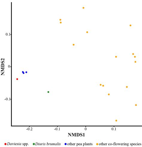 Non Metric Multi Dimensional Scaling Plot Of Floral Traits For Diuris