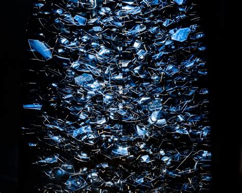 Fragmentation Vs Regeneration Whats The Difference This Vs That