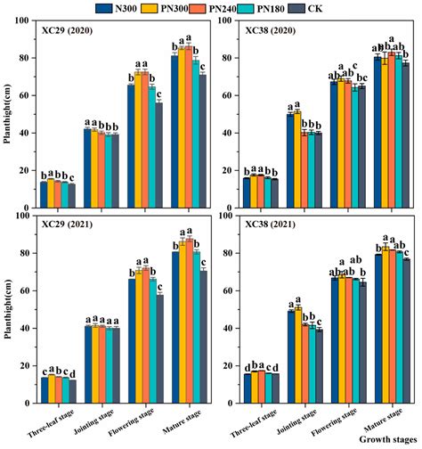 Effects Of Polymer Conditioner And Nitrogen Fertilizer Application On Nitrogen Absorption And