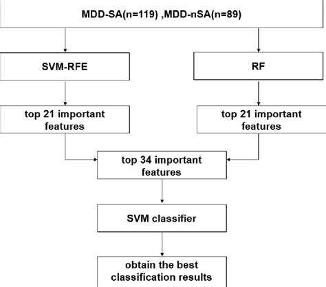 Figure 1 From A Multimodal Prediction Model For Suicidal Attempter In Major Depressive Disorder