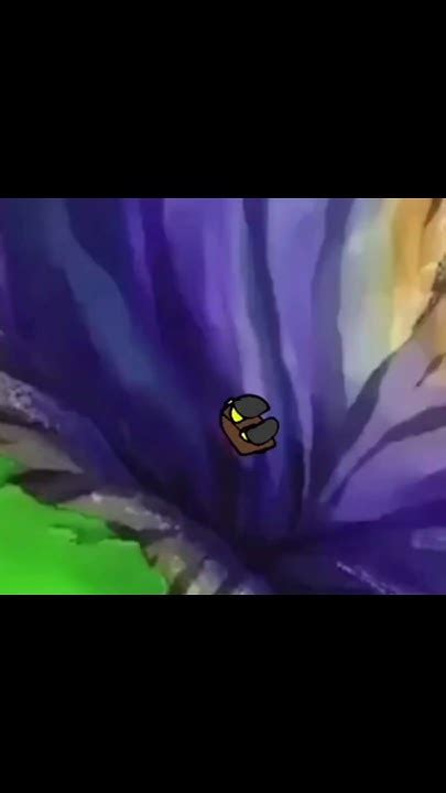 Spongebob Is Falling Of A Plan Animatedmemes Spongebobanimation S1llyc0ral1n3lover Youtube