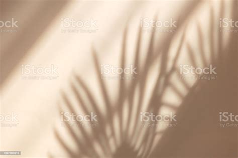 팜은 파스텔 베이지 색 벽 배경에 그림자를 남깁니다 여름 열대 해변 배경 상단보기 플랫 레이 복사 공간 배경 화면 그림자에 대한 스톡 사진 및 기타 이미지 Istock