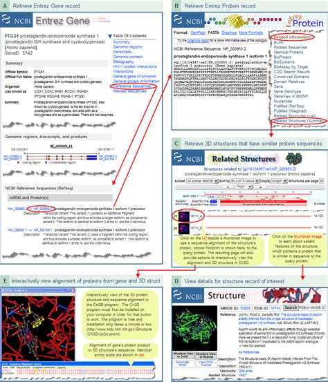 how to use the molecular modeling database mmdb search by gene or