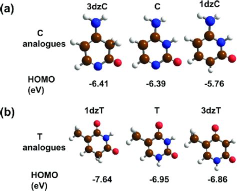 A Relaxed Atomic Structures And The Homo Level Energy For The C