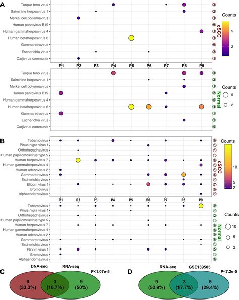 Mining Metagenomes And Metatranscriptomes Unveils Viruses Associated With Cutaneous Squamous
