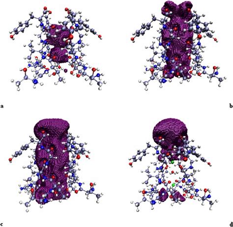 Color Online Molecular Model Of The Kcsa Selectivity Filter Thr74 To
