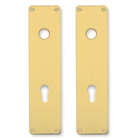Backplates With Europrofile Keyhole Polished Brass Model 1201 215x55x2 Mm Brass
