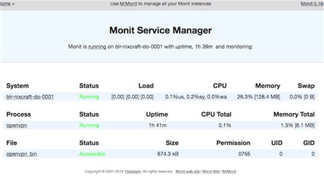 How To Install And Use Monit On Ubuntudebian Linux Server As Process