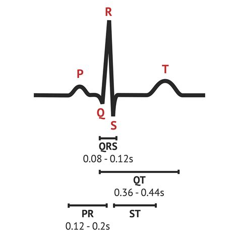 The Normal Ecg Trace Ecg Basics Medschool