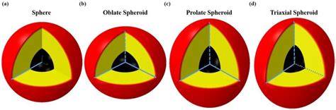 initial geometries for folding simulations the outer layer cortex download scientific