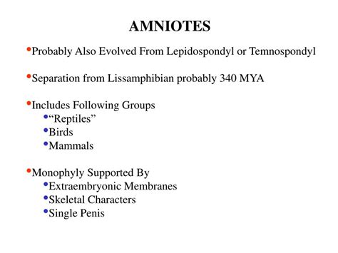 Ppt Amniotes Powerpoint Presentation Free Download Id 1412351