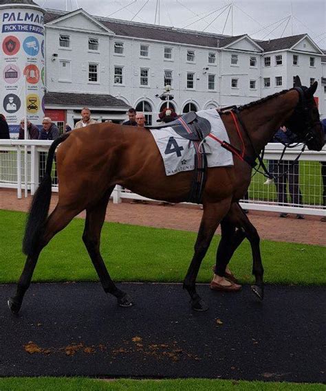 💓💛 Winner Winner Ralphy Boy Two Ursa Major Racing Ltd Facebook