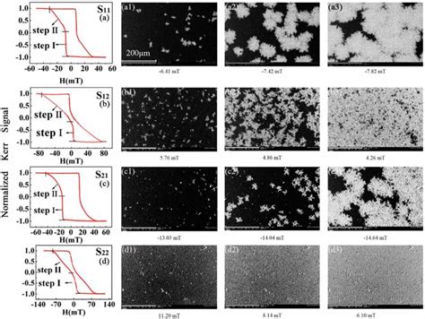 The Hysteresis Loops And Magnetic Domain Structure In Step I For Our Download Scientific