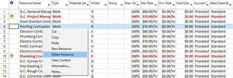 Delete Resource Project Plan