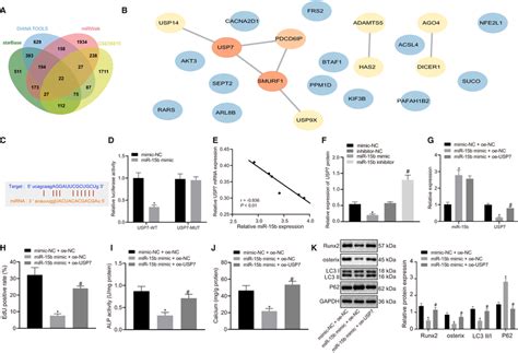 Up‐regulation Of Mir‐15b Could Suppress Osteoblast Differentiation And