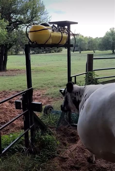 Automatic Cattle Bug Sprayer Rdamnthatsinteresting