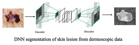 Analysis Of Medical Imaging Data