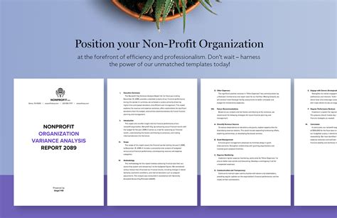 Nonprofit Organization Variance Analysis Report Template In Word Pdf