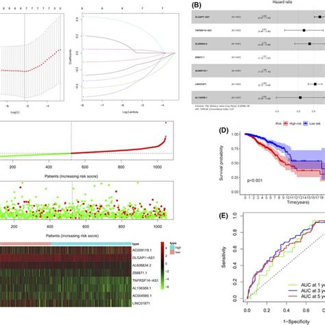 Construction Of A Predictive Risk Model In Bc A Lasso Regression Of Download Scientific