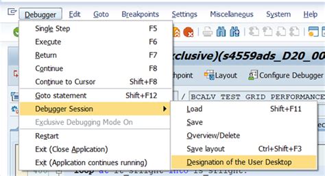 Sap Abap Central New Debugger Options