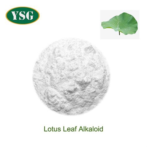 Lotus Leaf Extract Ysg
