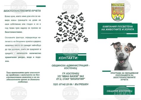 Община Костенец се включи в Програма за овладяване популацията на безстопанствените кучета Утро