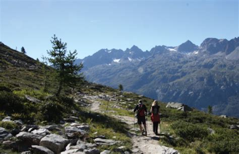 Les Immanquables Randonnées Et Promenades Dété à Chamonix Chamonix