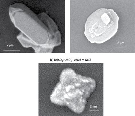 SEM Images Of Particles Displayed In Fig A 1a And B 1b Taken On A Download Scientific