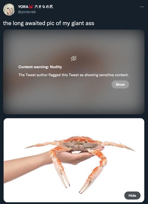 Twitter Content Warning Meme Twitter Content Warning Know Your Meme