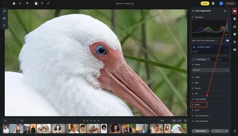 denoise image with offline ai photo denoiser for free 2025