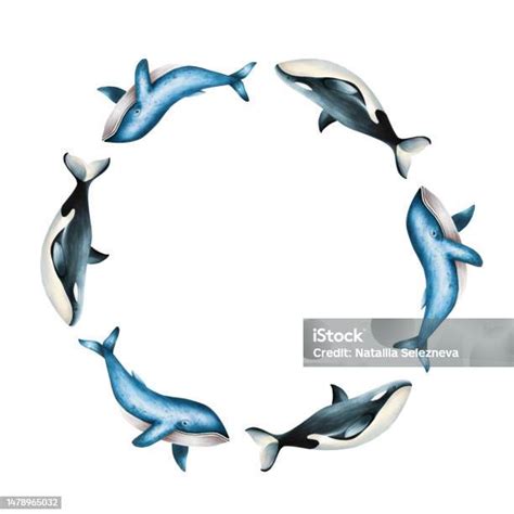 푸른 고래와 범고래가 흰색 배경에 격리된 수채화 프레임 손으로 그림 현실적인 북극과 남극 해양 포유류 디자이너 장식 엽서 포장지 스크랩북 표지 로고 초대장 포스터 및 직물