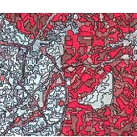 results of three segmentations using different scale values for part of