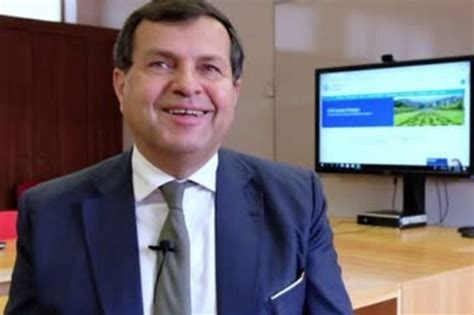 Manuel Ferreira Da Silva Eleito Presidente Da Fundação De Serralves