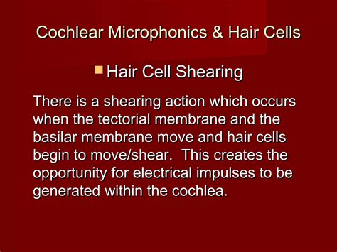 His 120 Cochlear Microphonics And Hair Cells Ppt